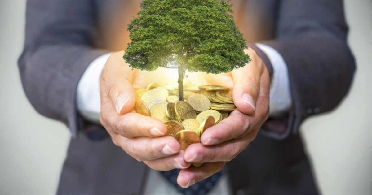 Strategies, Tips And Approaches For Cultivating And Sustaining ...