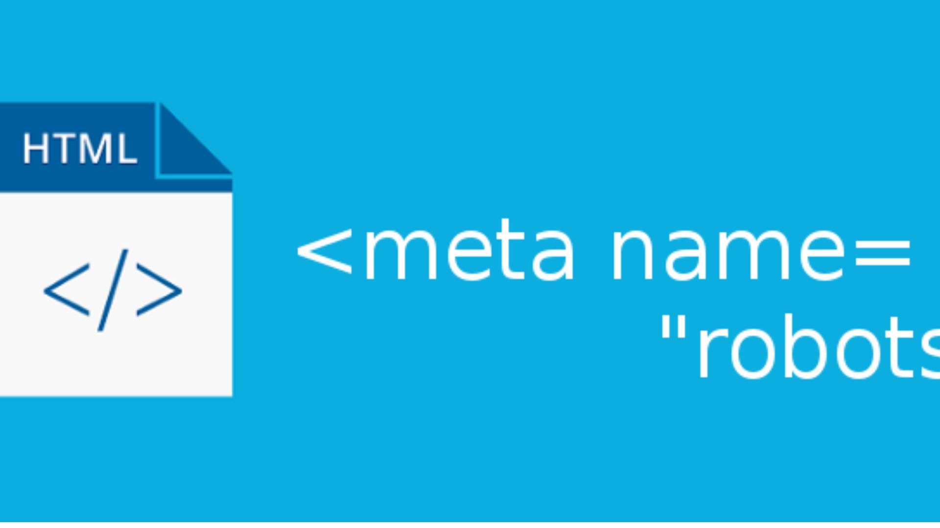 What Are Meta Robots Tags & Why They Are Important
